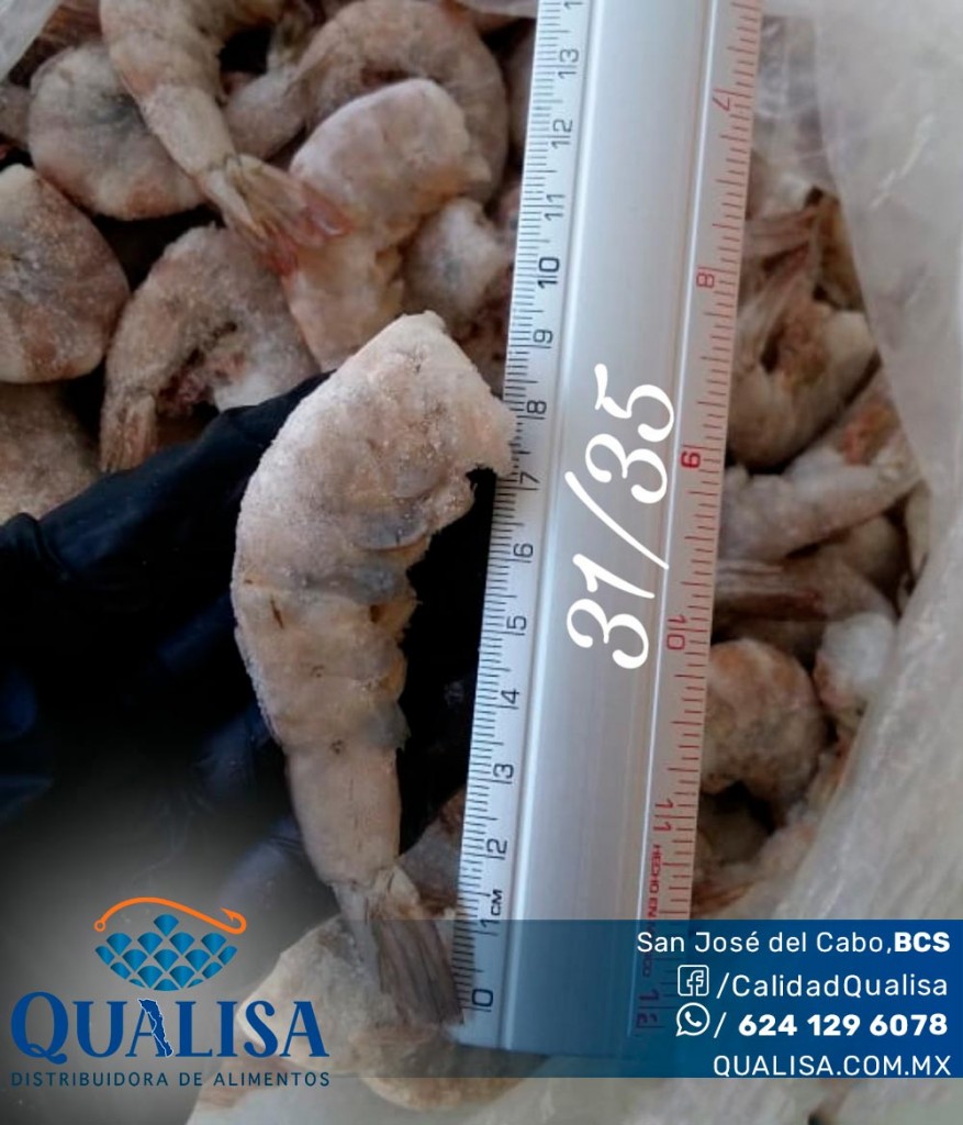 Camarón Frizado Jumbo • Consíguelo a domicilio en San José del Cabo