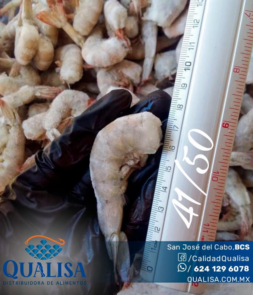 🦐 Camarón frizado chico 🛑 Pídelo a domicilio en San José del Cabo 🦐