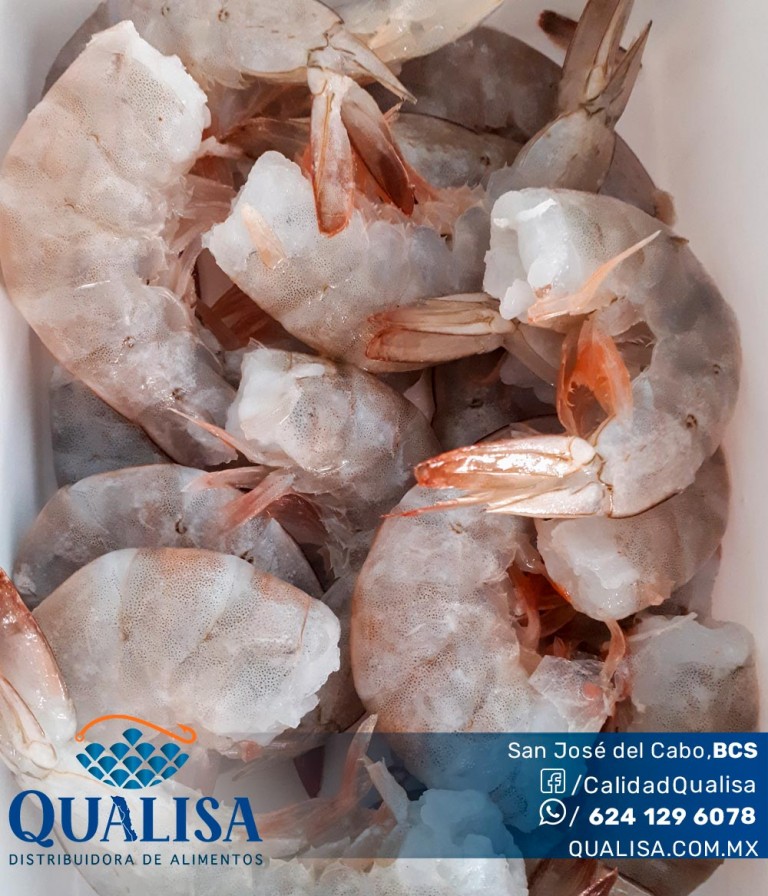 Camarón Frizado Jumbo • Consíguelo a domicilio en San José del Cabo