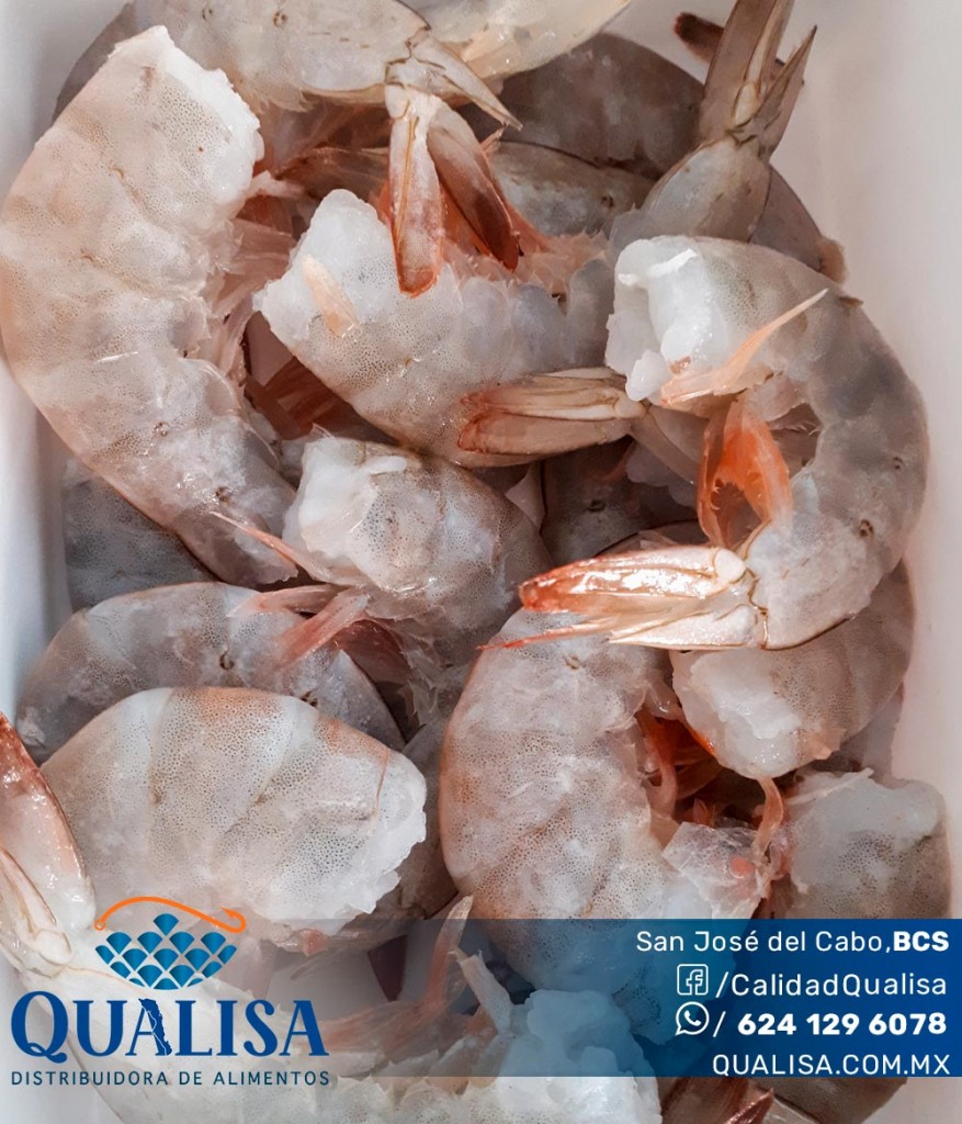 Camarón Frizado Jumbo • Consíguelo a domicilio en San José del Cabo