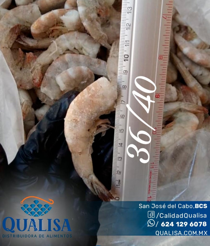 ¿Qué es el marisco? | Qualisa - Distribuidora de Alimentos