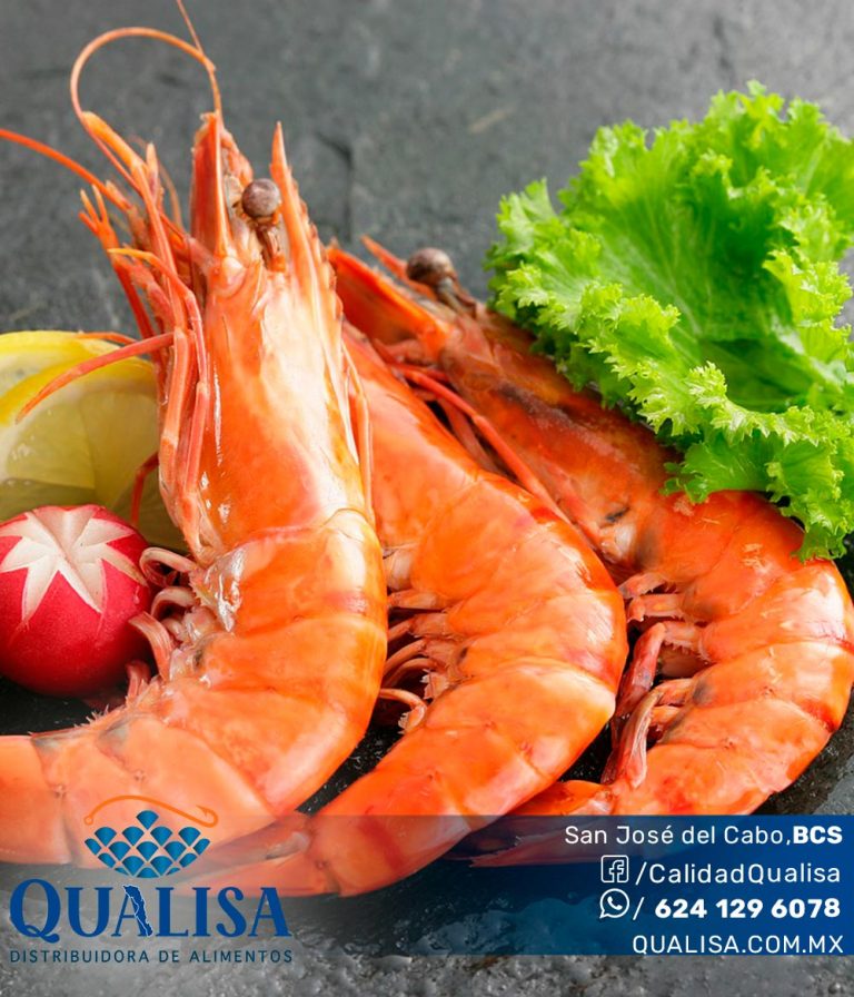 | Camarón U10 | Hasta la puerta de tu casa, en San Jose del Cabo 👌