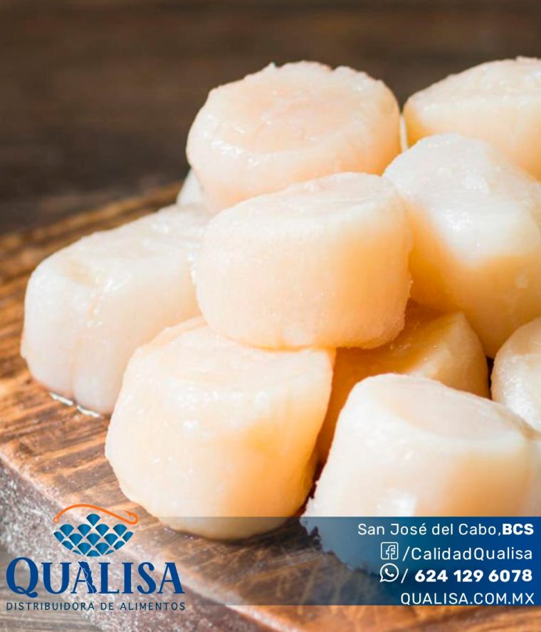 🥇 Callo Catarina | Pídelo hasta tu hogar en San José del Cabo