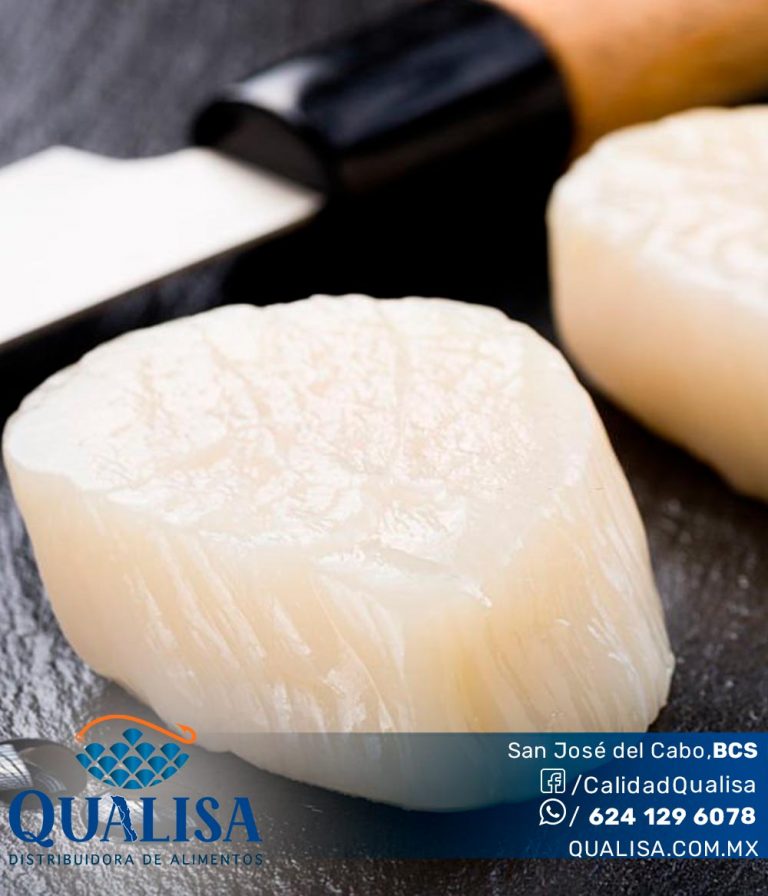 🥇 Callo Catarina | Pídelo hasta tu hogar en San José del Cabo