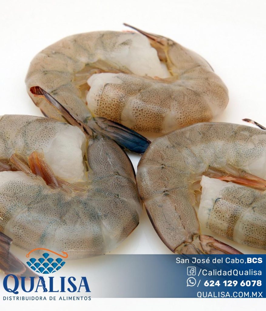 ¿Qué es el marisco? | Qualisa - Distribuidora de Alimentos