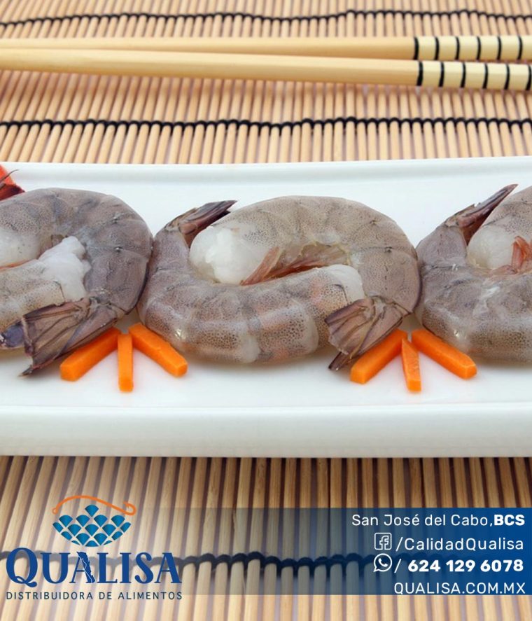 | Camarón U10 | Hasta la puerta de tu casa, en San Jose del Cabo 👌