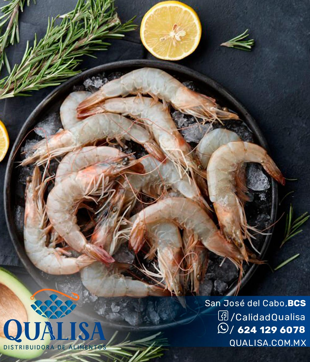 Camarón U15 hasta la puerta de tu casa en San José del Cabo