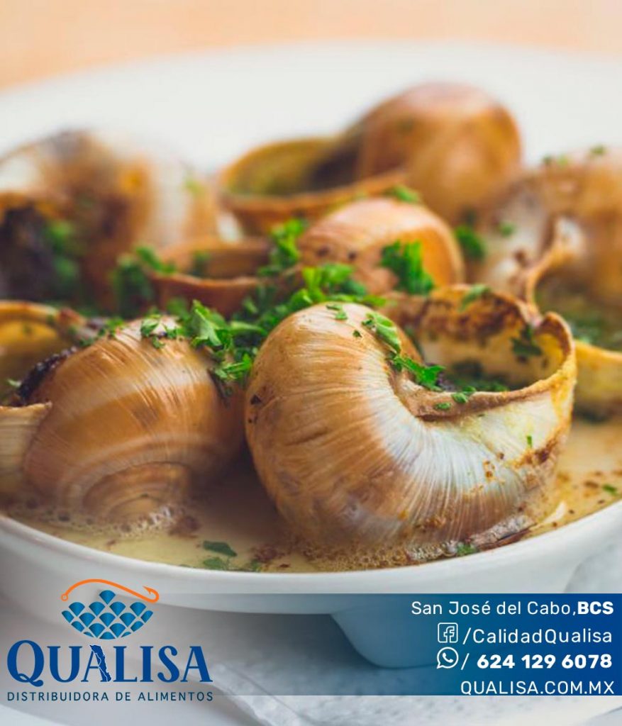 | Camarón U10 | Hasta la puerta de tu casa, en San Jose del Cabo 👌