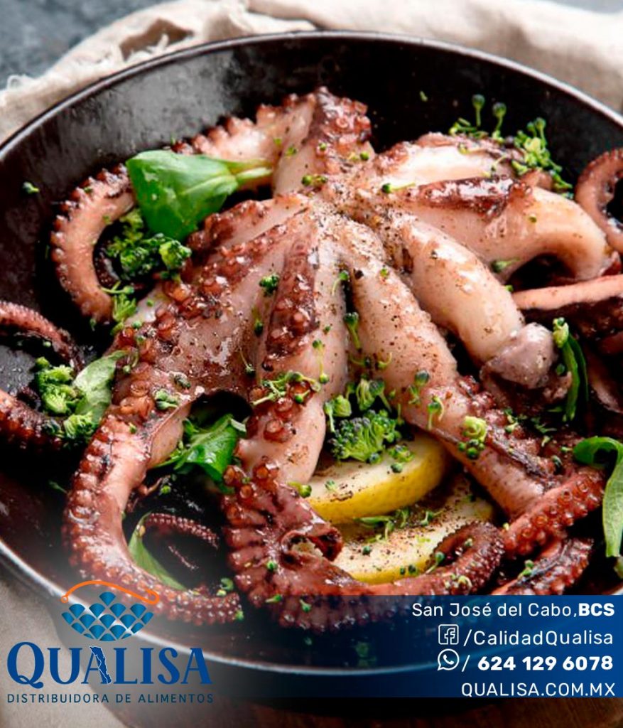 🥇 Callo Catarina | Pídelo hasta tu hogar en San José del Cabo