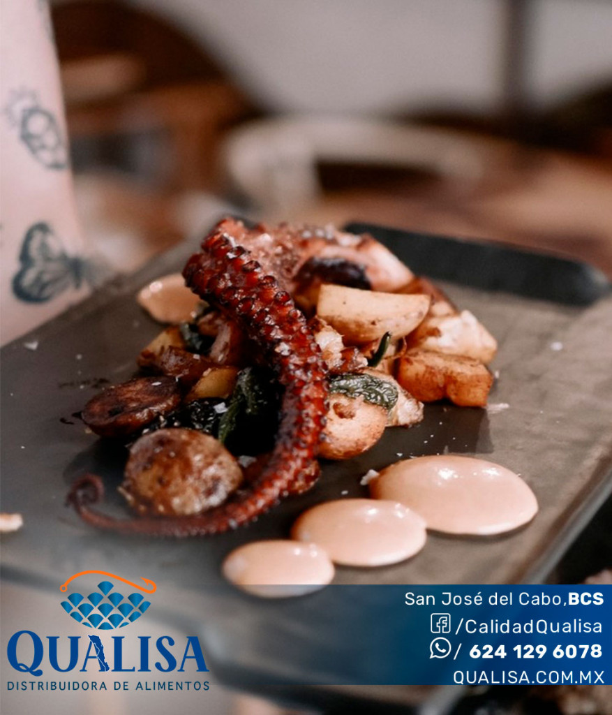 ¿Qué es el marisco? | Qualisa - Distribuidora de Alimentos