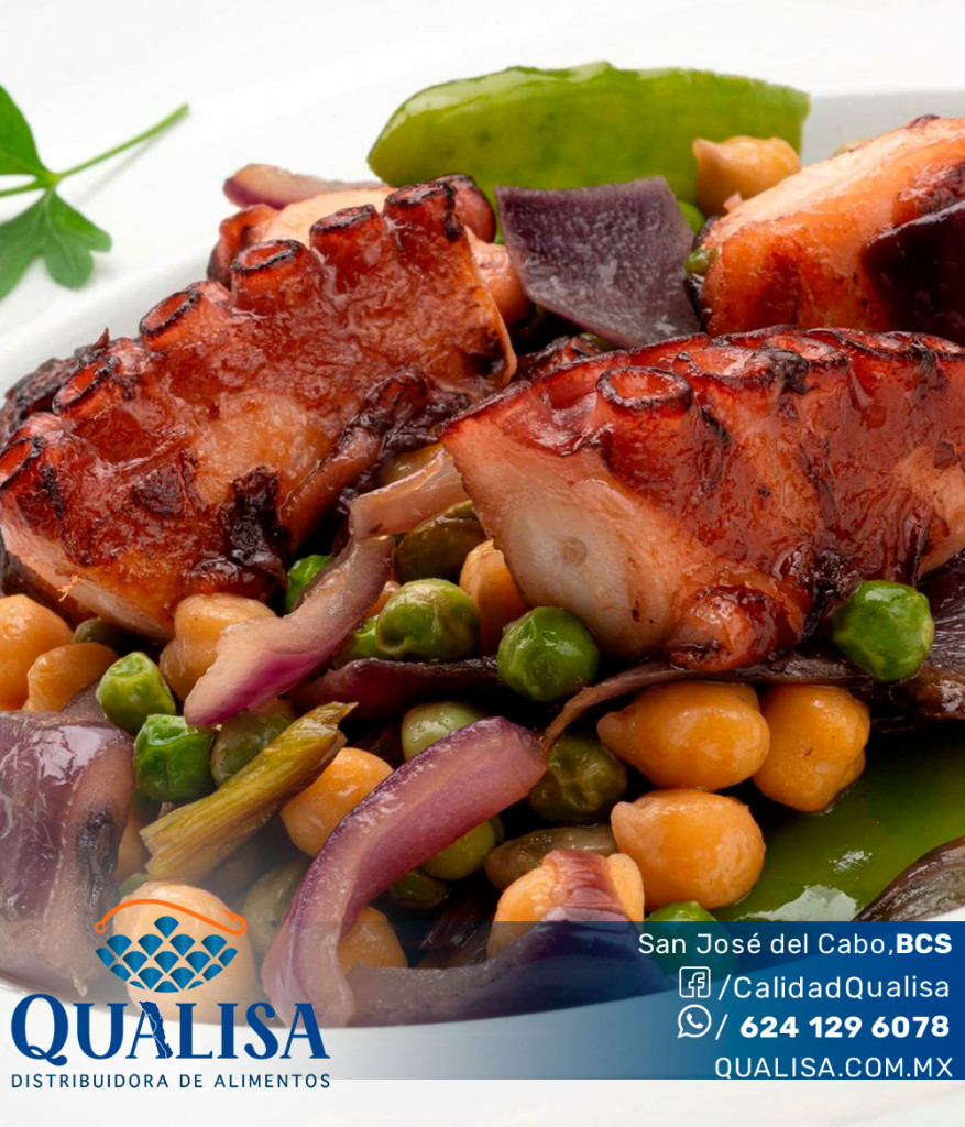 ¿Qué es el marisco? | Qualisa - Distribuidora de Alimentos