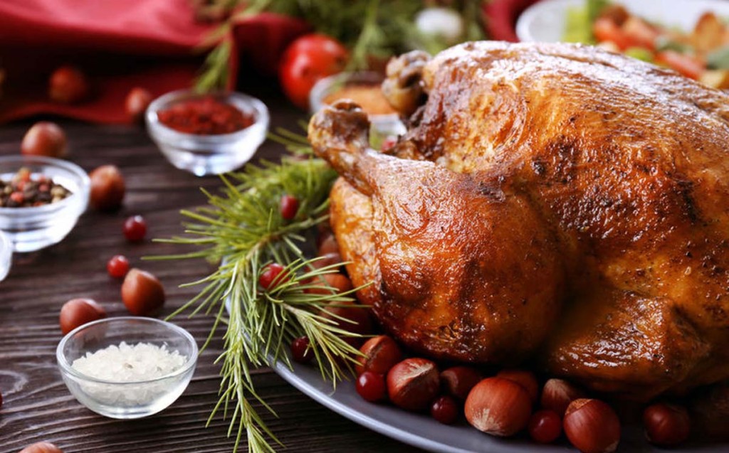 El pavo y el día de acción de gracias | Qualisa - Distribuidora de ...